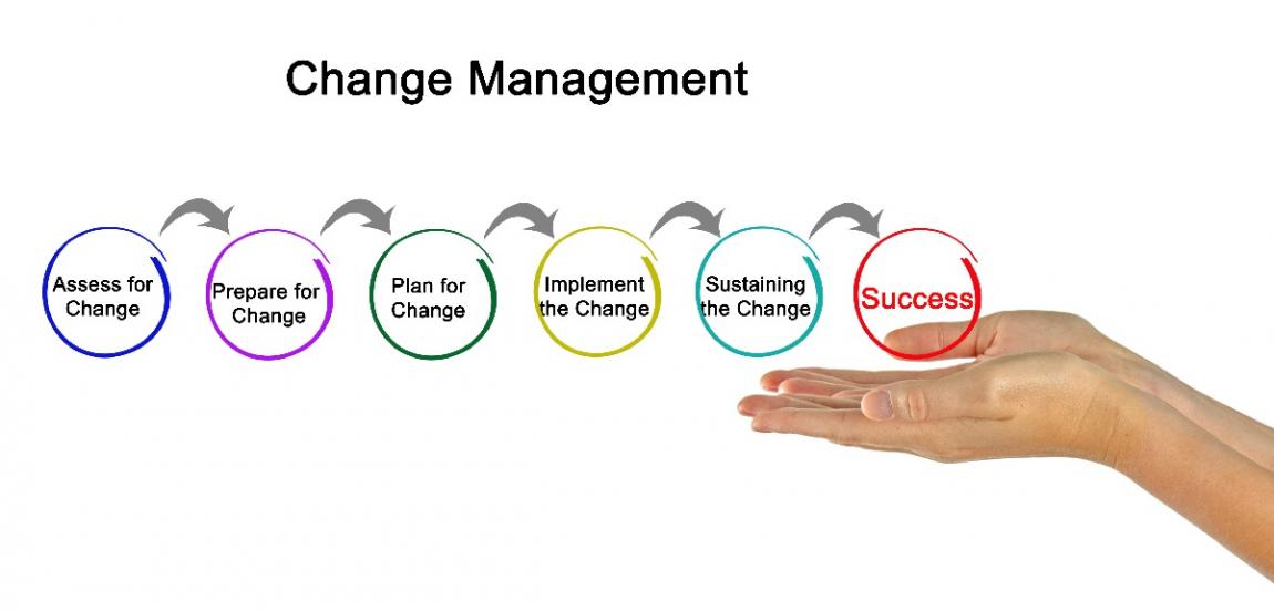 Implementing a Change Strategy is Critical | The Change Space
